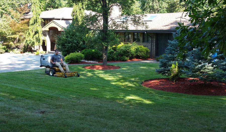 Landscape Maintenance - Dave & Dan's NJ Landscaping Services