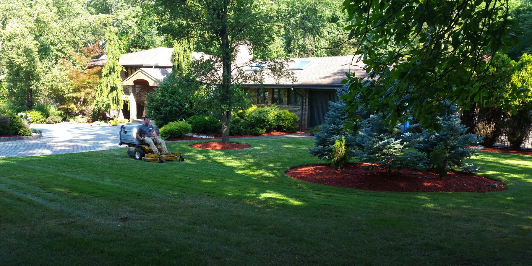 Dave and Dan's - Dave and Dan's Landscape, LLC
